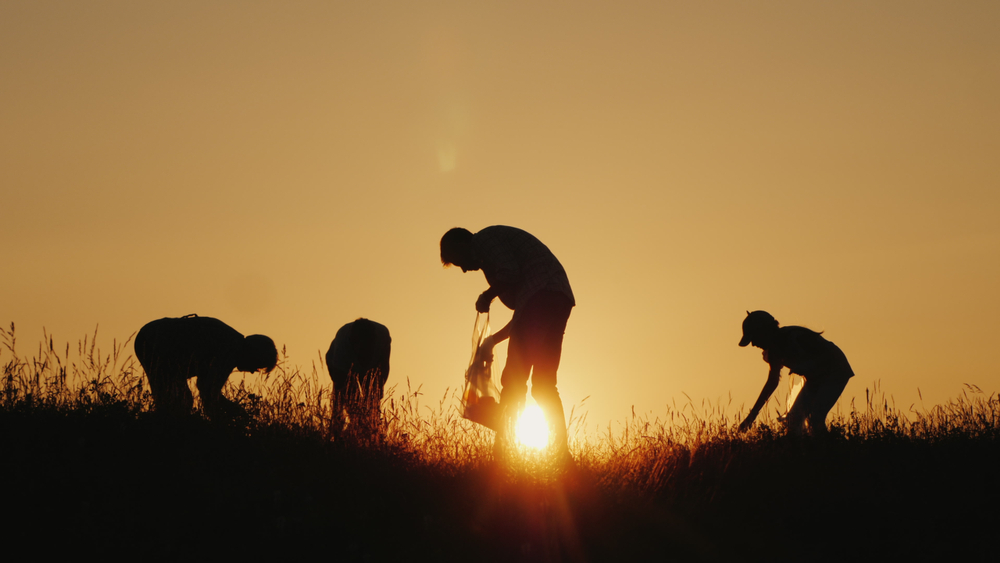 DUI Conviction and Mandatory Community Service